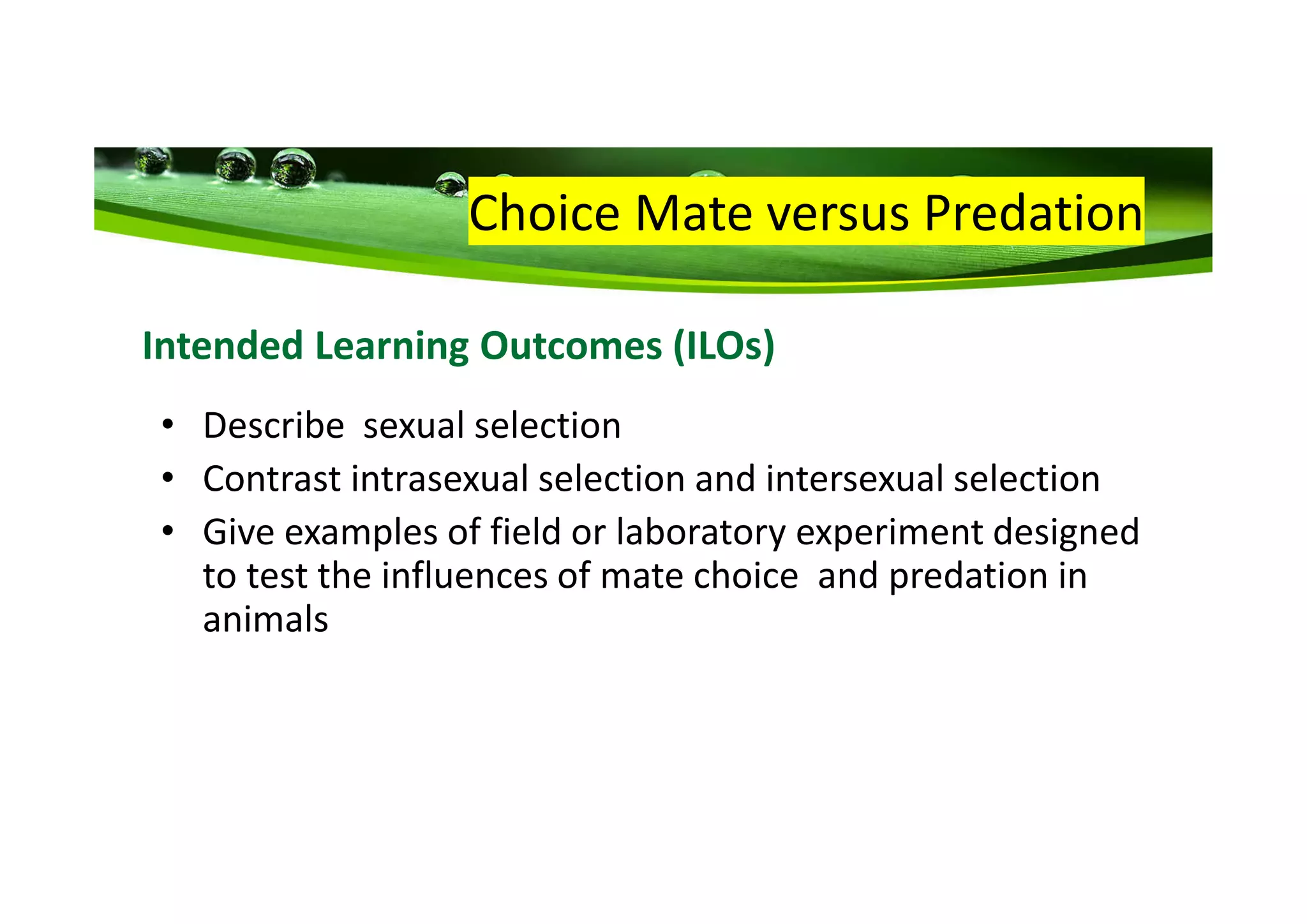 Mate Choice Versus Predation | PDF