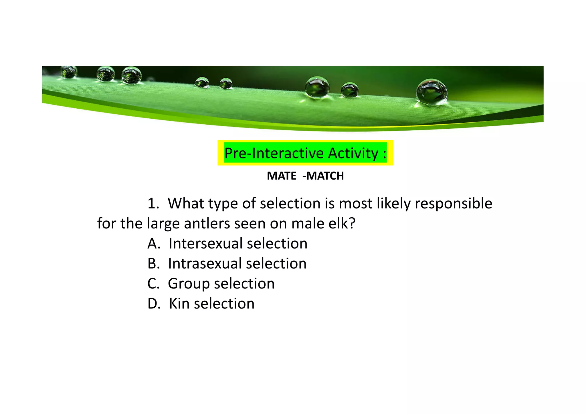 Mate Choice Versus Predation | PDF