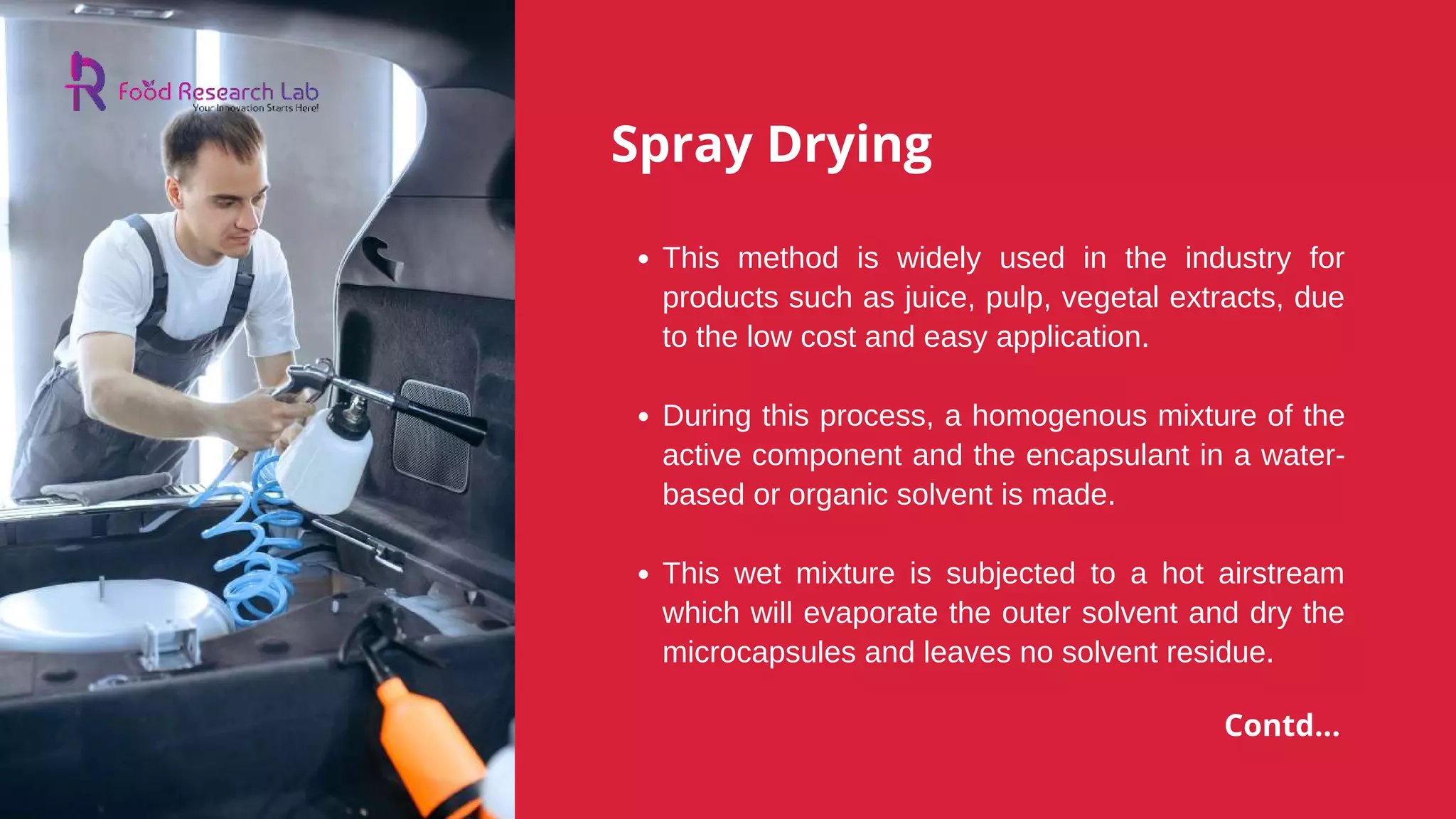 encapsulation in the food industry | PDF