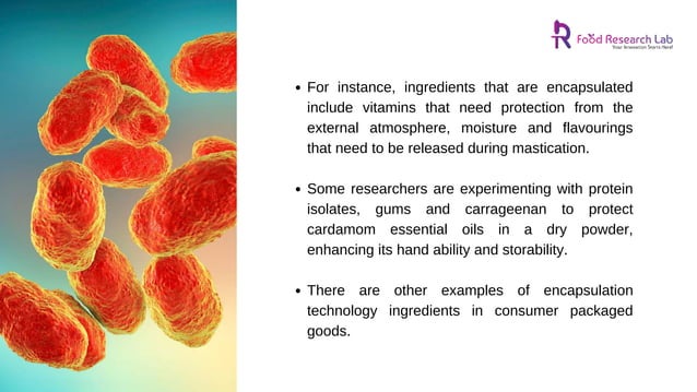 encapsulation in the food industry | PDF