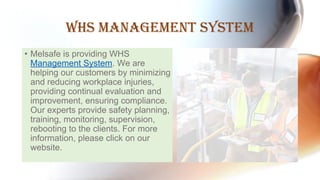 WHS Gap Analysis | PPT