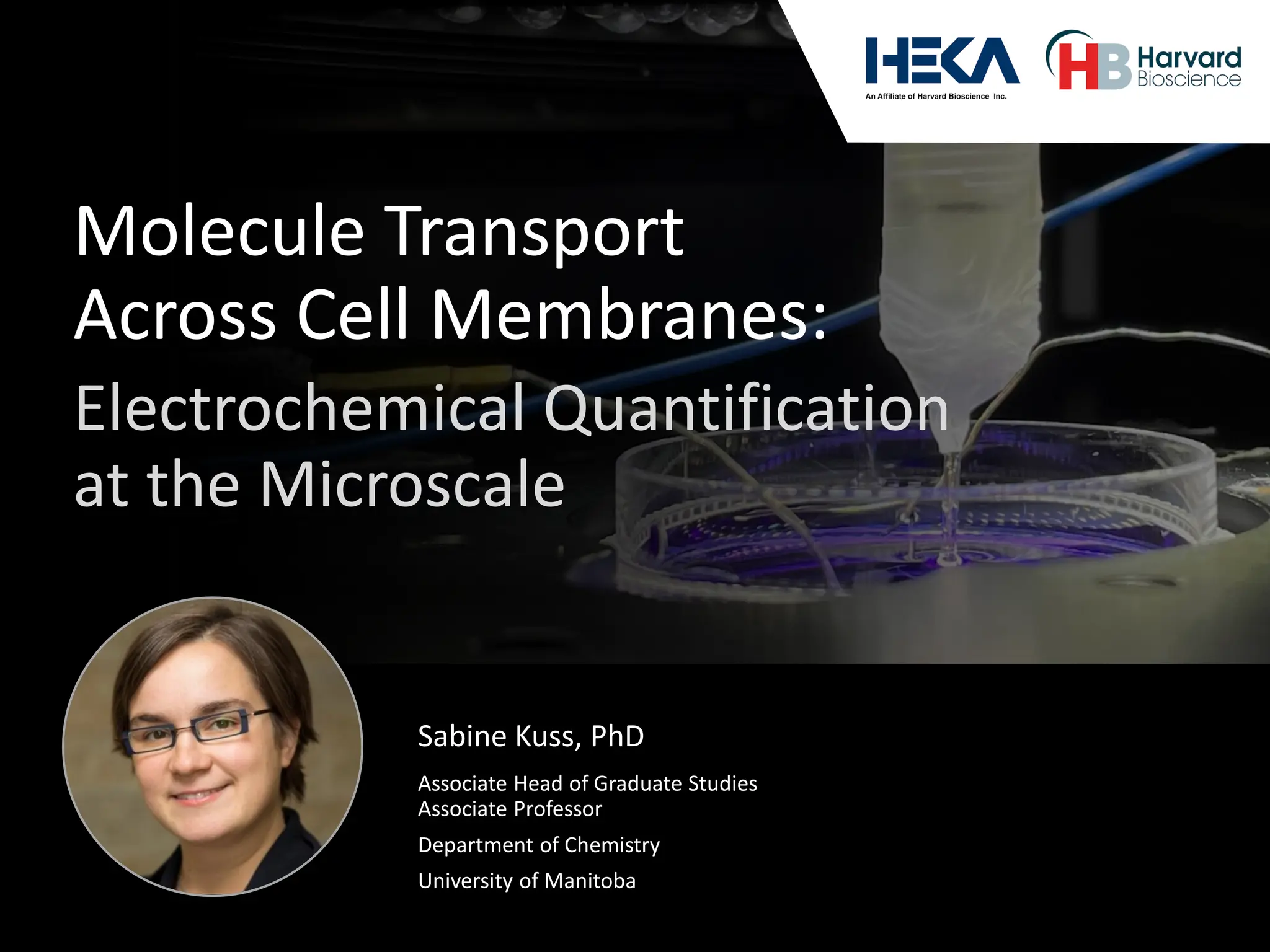 Molecule Transport across Cell Membranes: Electrochemical ...