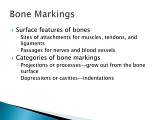 pdfslide.net_-parts-of-the-skeletal-system-bones-skeleton-joints ...