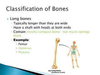 pdfslide.net_-parts-of-the-skeletal-system-bones-skeleton-joints ...