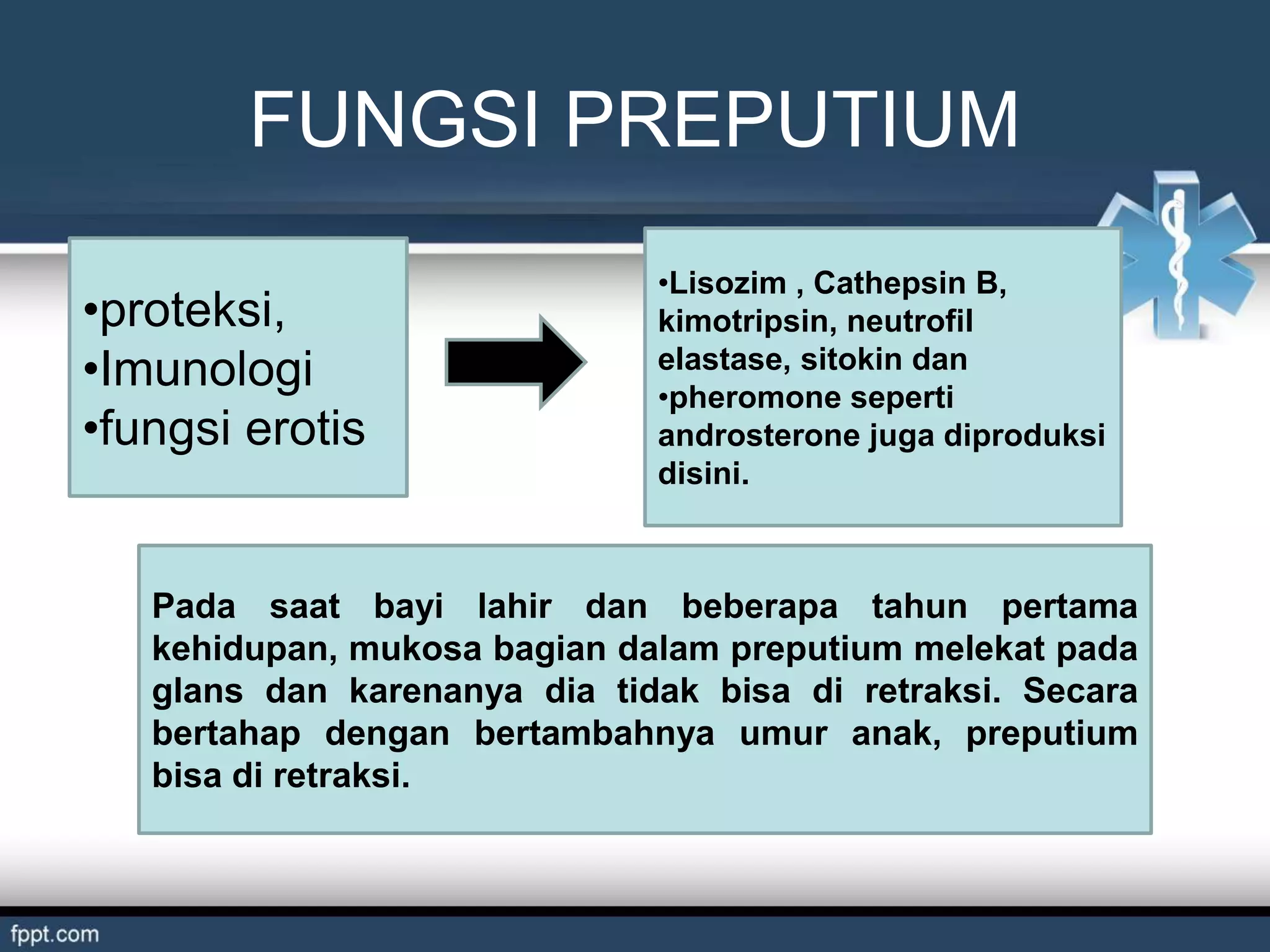 pdfslide.net_7-fimosis-dan-parafimosis.ppt