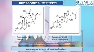 submission Budesonide | PDF