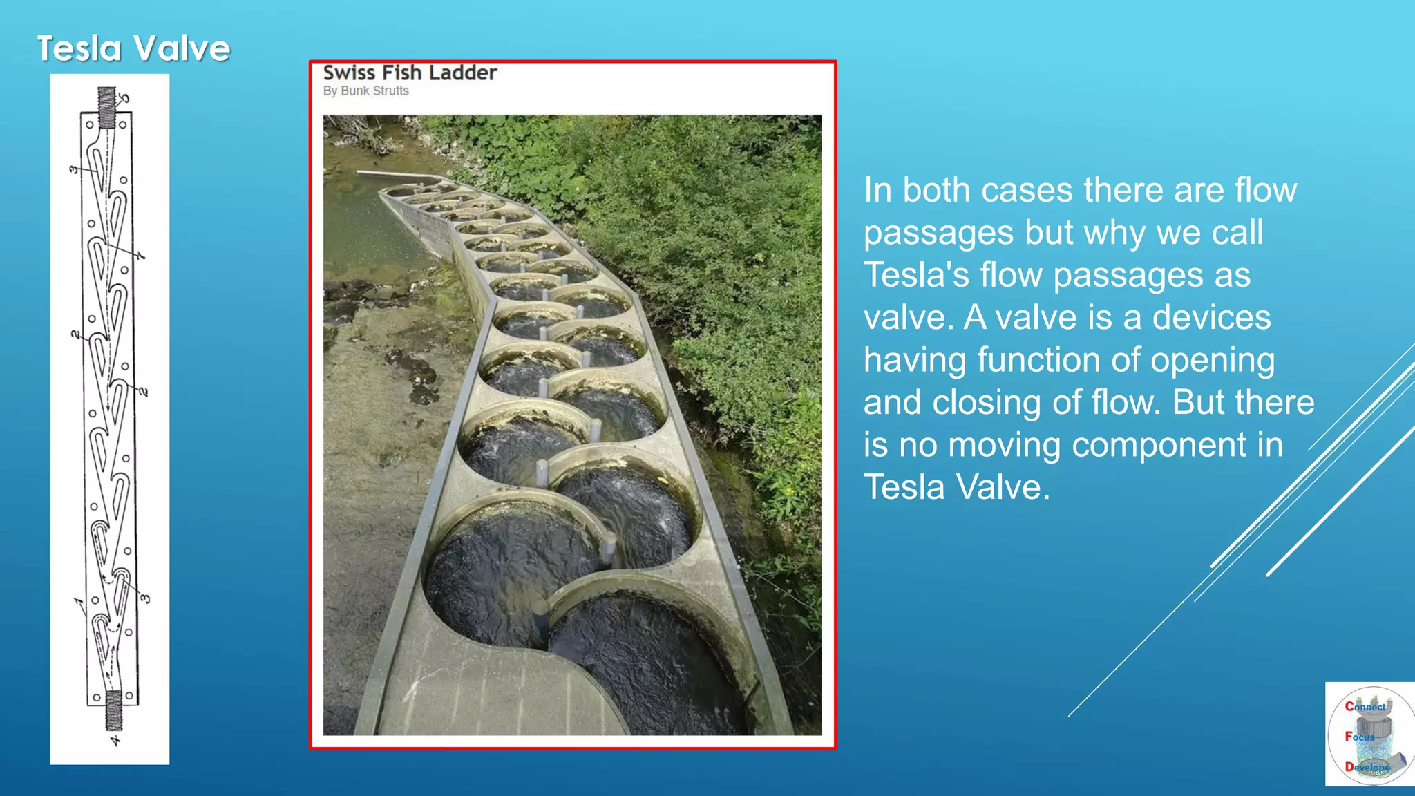 Understanding of Tesla Valve | PDF
