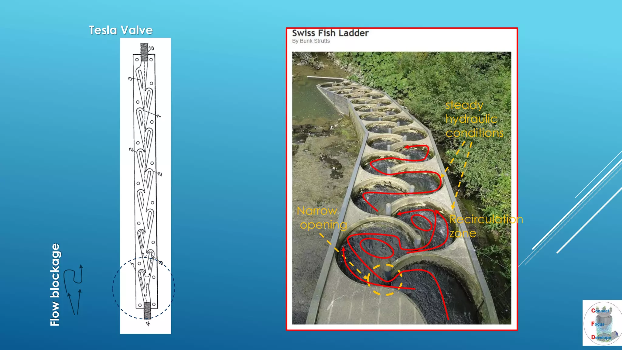 Understanding of Tesla Valve | PDF
