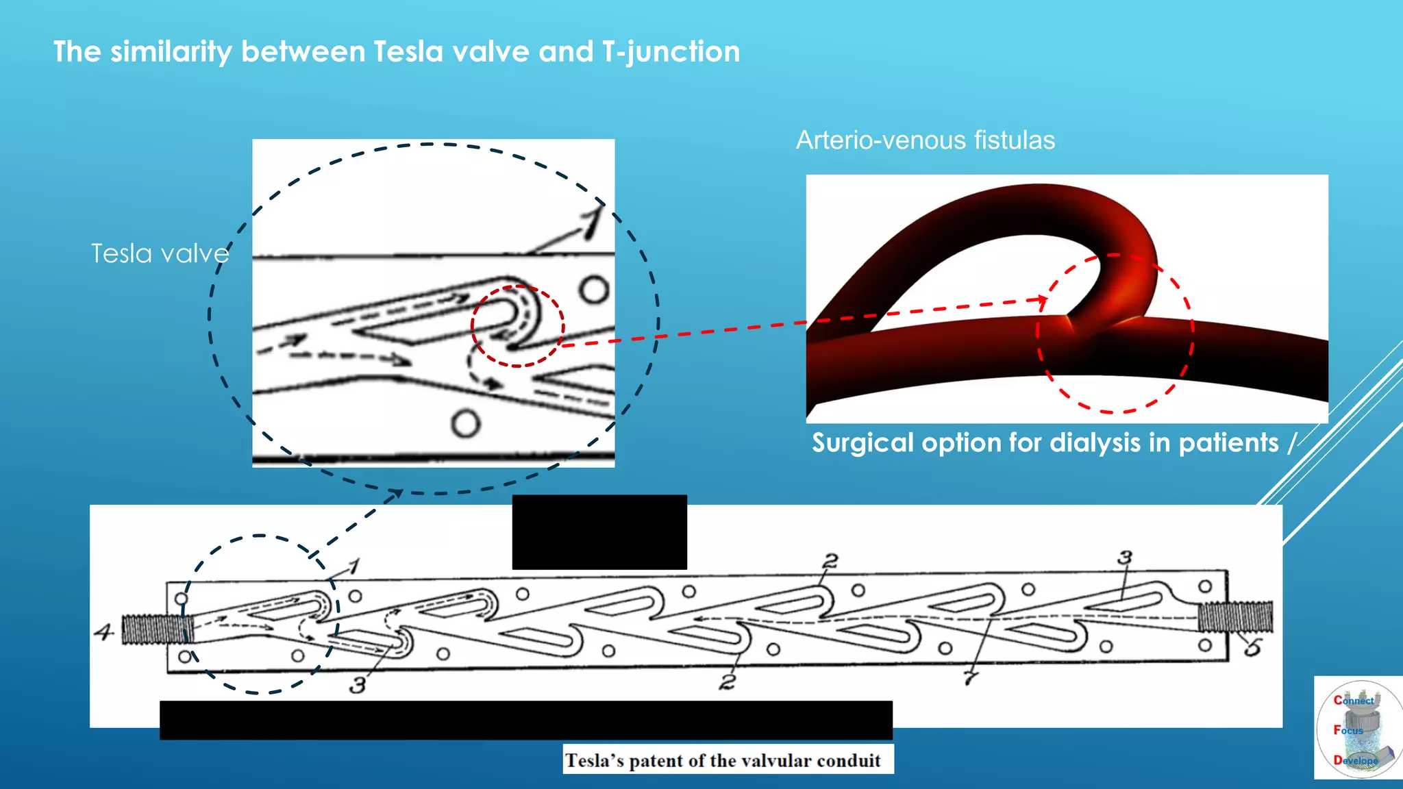 Understanding of Tesla Valve | PDF
