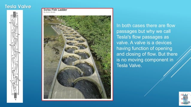 Understanding of Tesla Valve | PDF | Physics | Science