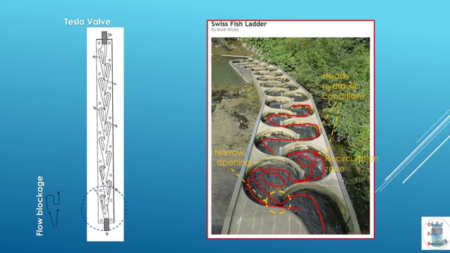 Understanding of Tesla Valve | PDF | Physics | Science
