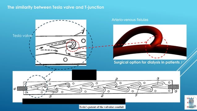 Understanding of Tesla Valve | PDF | Physics | Science