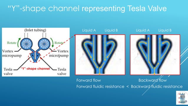 Understanding of Tesla Valve | PDF | Physics | Science