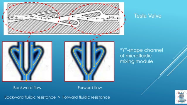Understanding of Tesla Valve | PDF | Physics | Science
