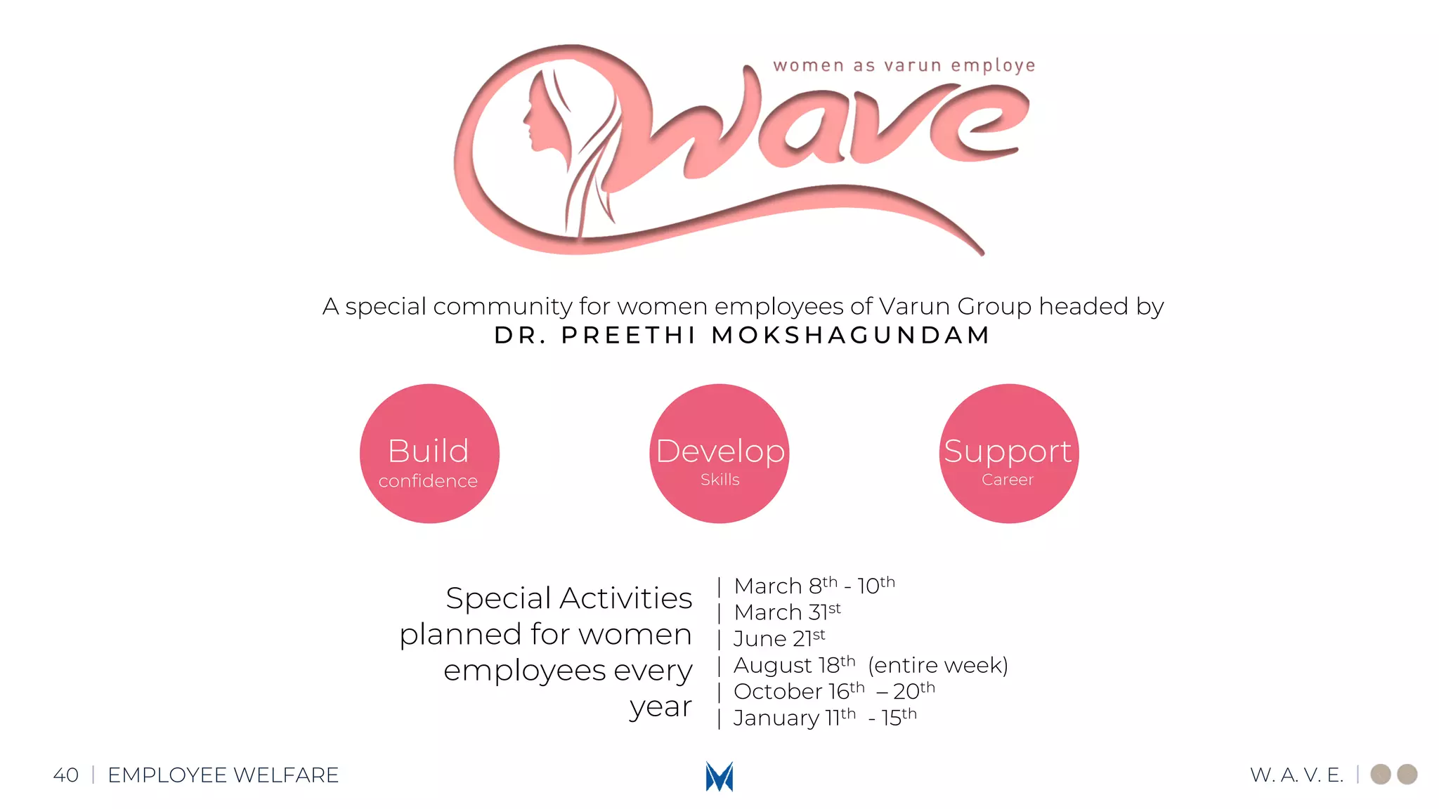 Varun Group - Company Profile | PDF