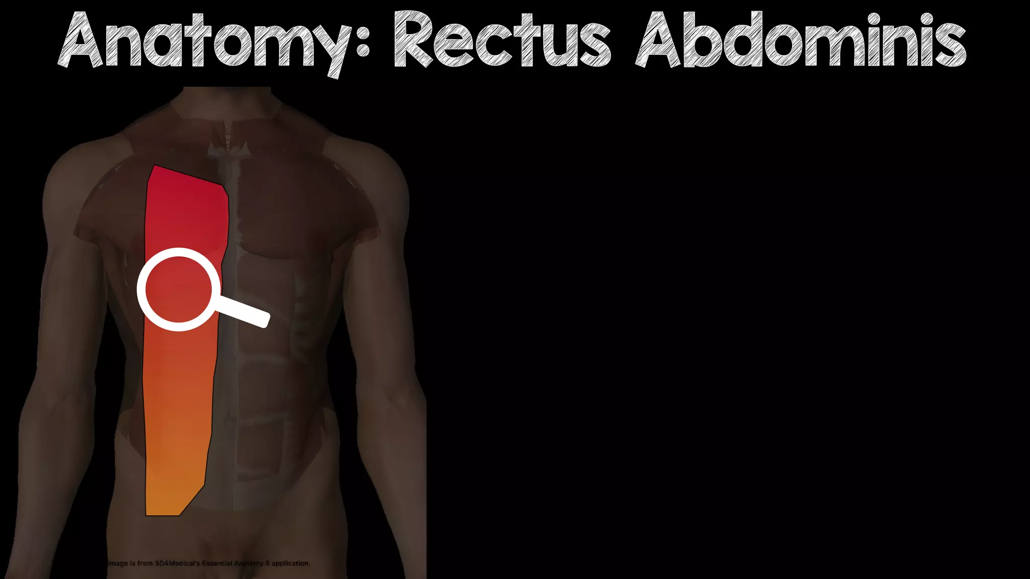 Trunk Blocks - Plan A Blocks - Royal College of Anaesthetists ...