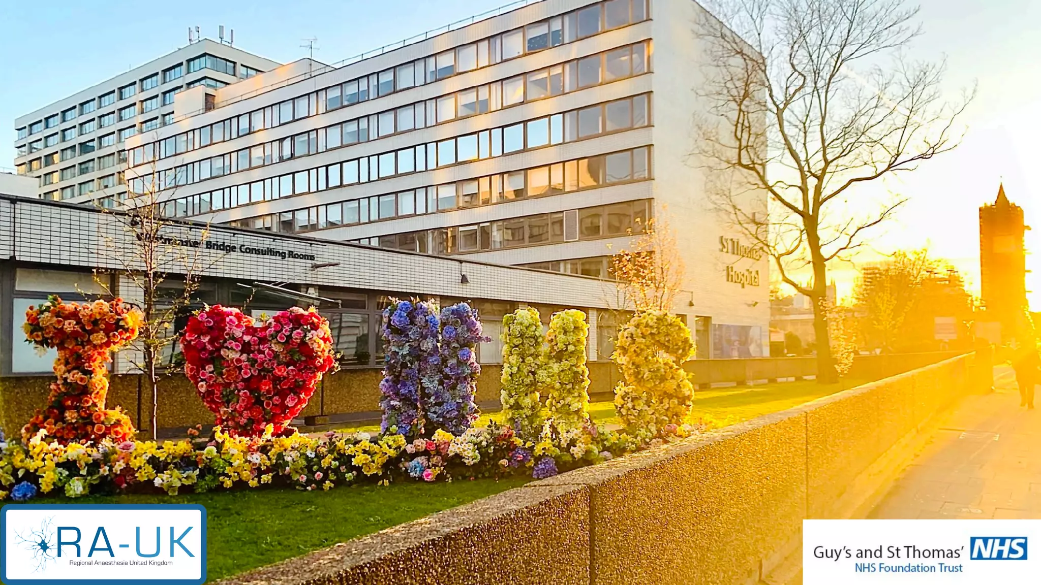 Trunk Blocks - Plan A Blocks - Royal College of Anaesthetists ...