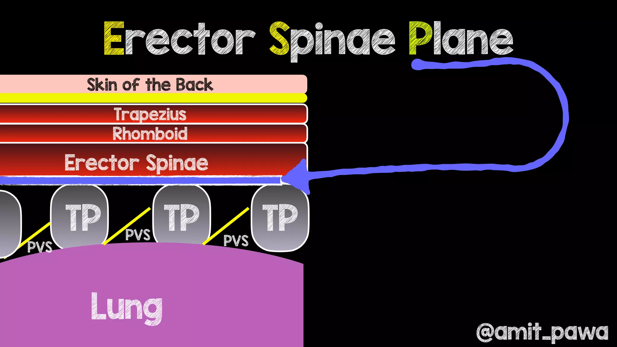 Trunk Blocks - Plan A Blocks - Royal College of Anaesthetists ...