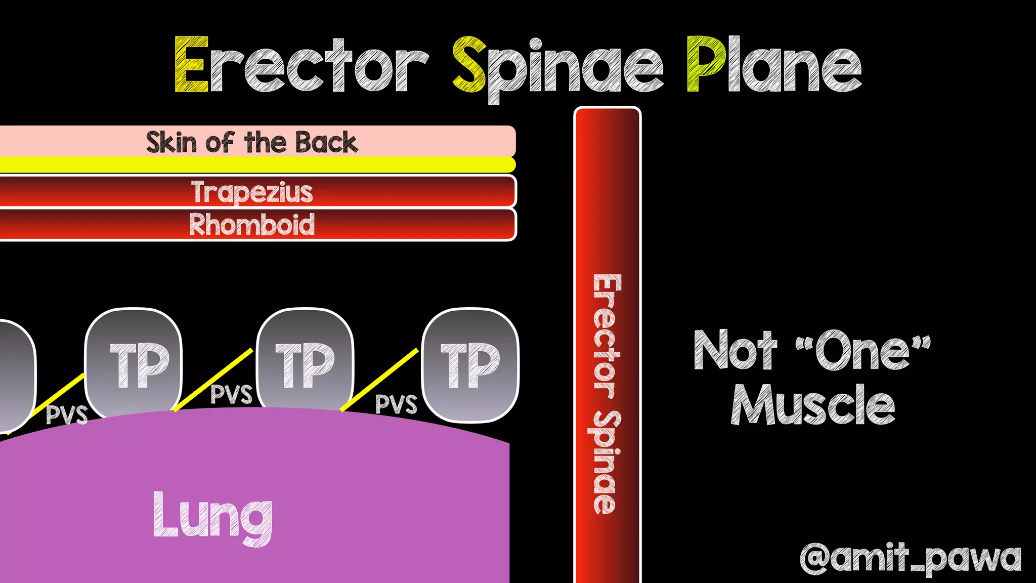 Trunk Blocks - Plan A Blocks - Royal College of Anaesthetists ...