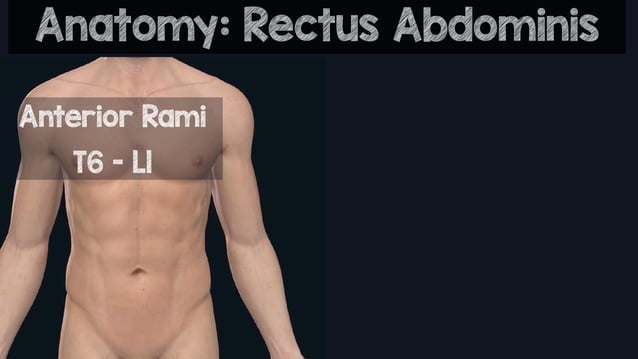 Trunk Blocks - Plan A Blocks - Royal College of Anaesthetists ...