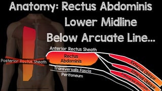 Trunk Blocks - Plan A Blocks - Royal College of Anaesthetists ...