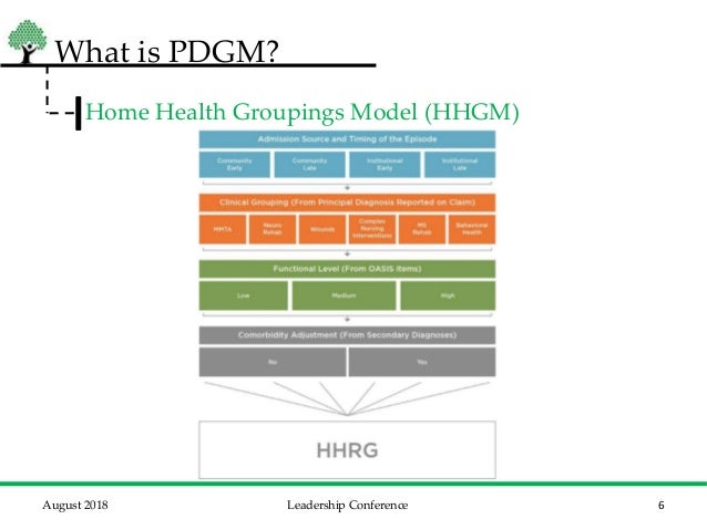 Patient-Driven Groupings Model (PDGM) Overview