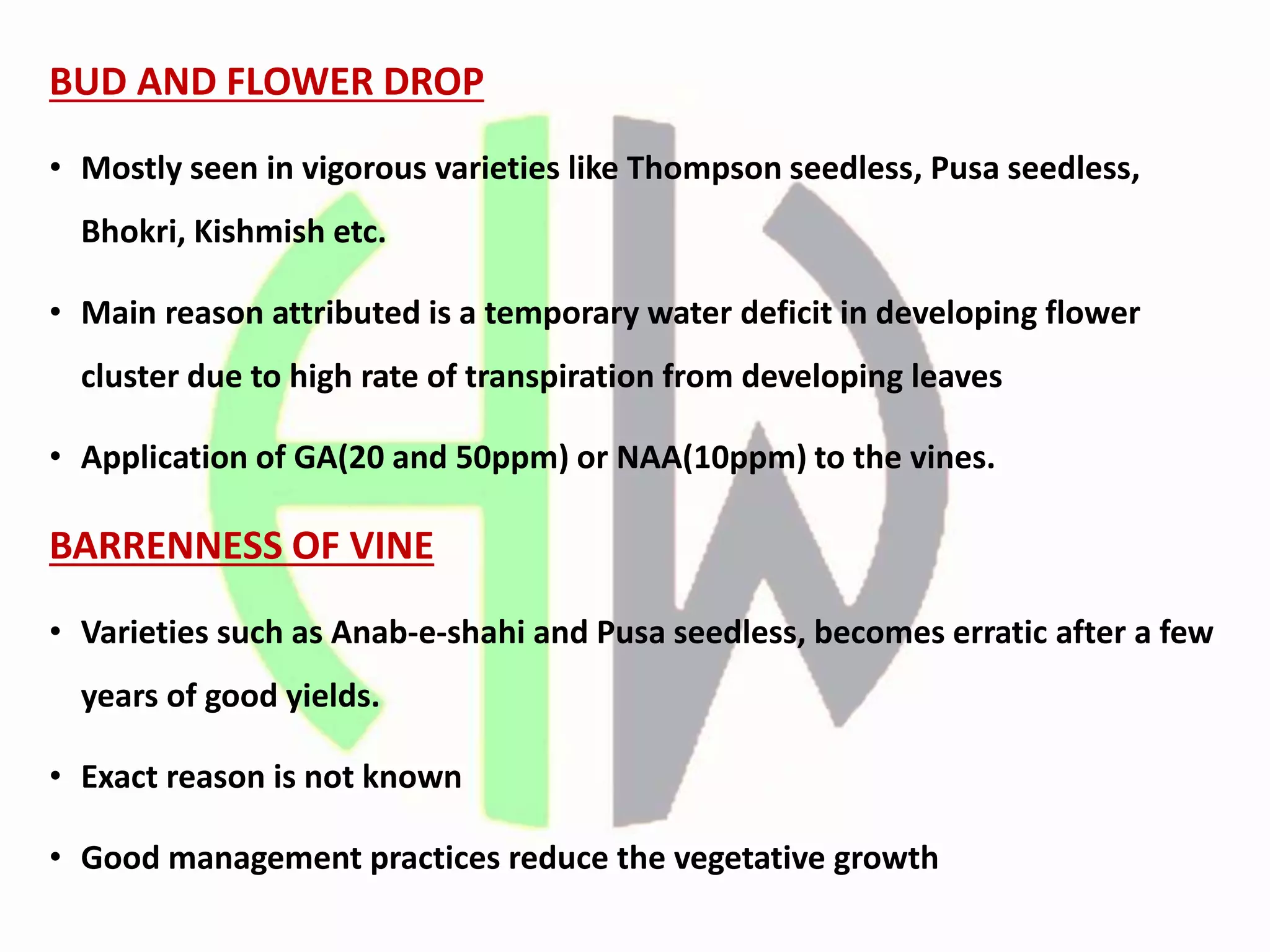 Physiological Disorders of Grapes.pptx