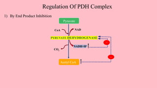 the presentation on pyruvate dehydrogenase complex (PDH).pptx