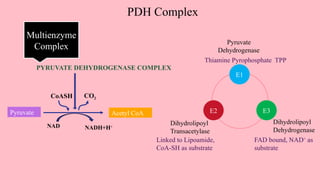 the presentation on pyruvate dehydrogenase complex (PDH).pptx