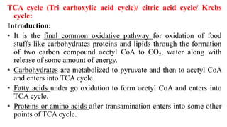 PDH Complex & TCA cycle/ Krebs cycle/Citric acid cycle | PDF