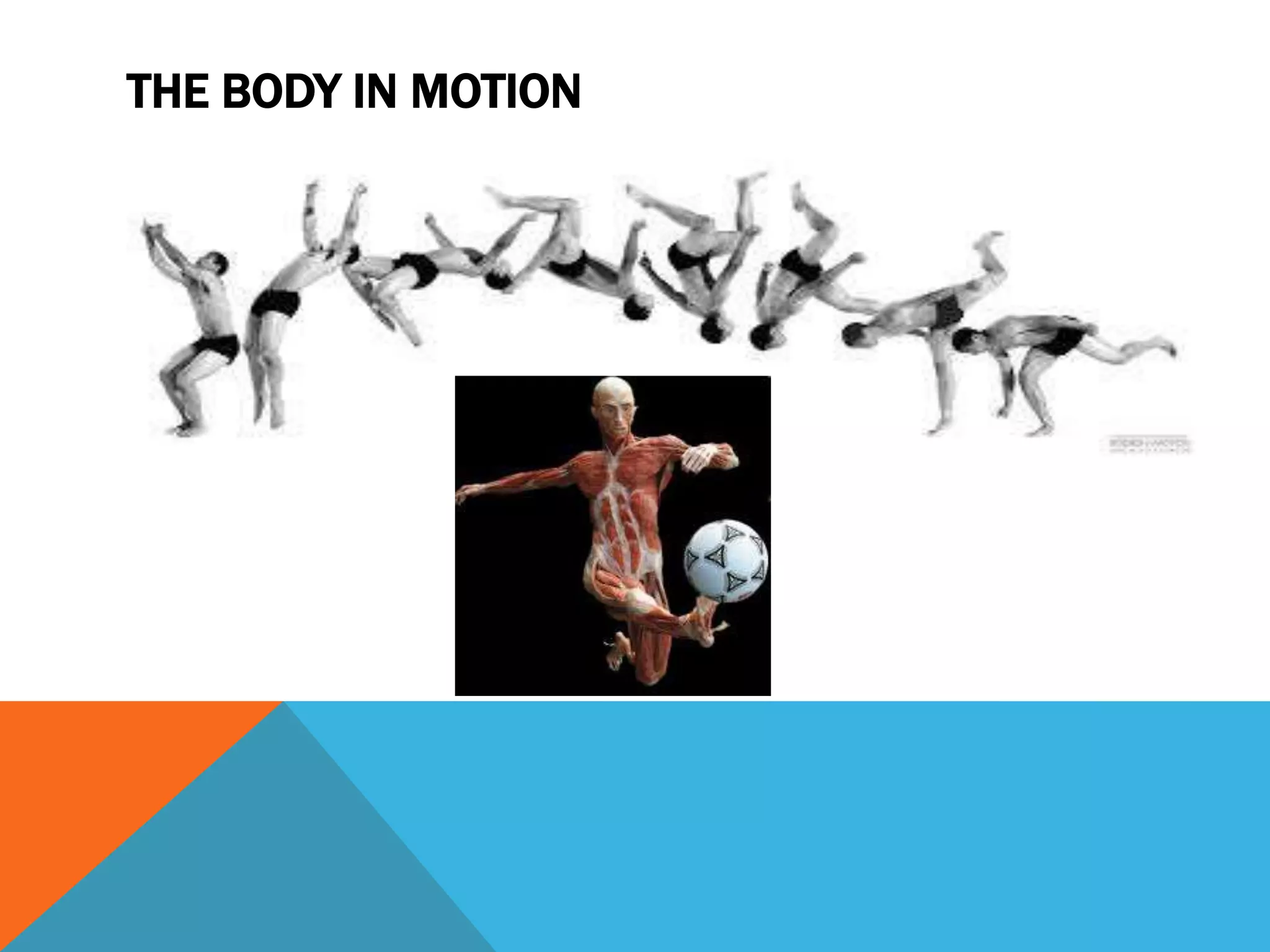 Pdhpe wiki slide show | PPTX | Fitness and Exercise | Healthy Living