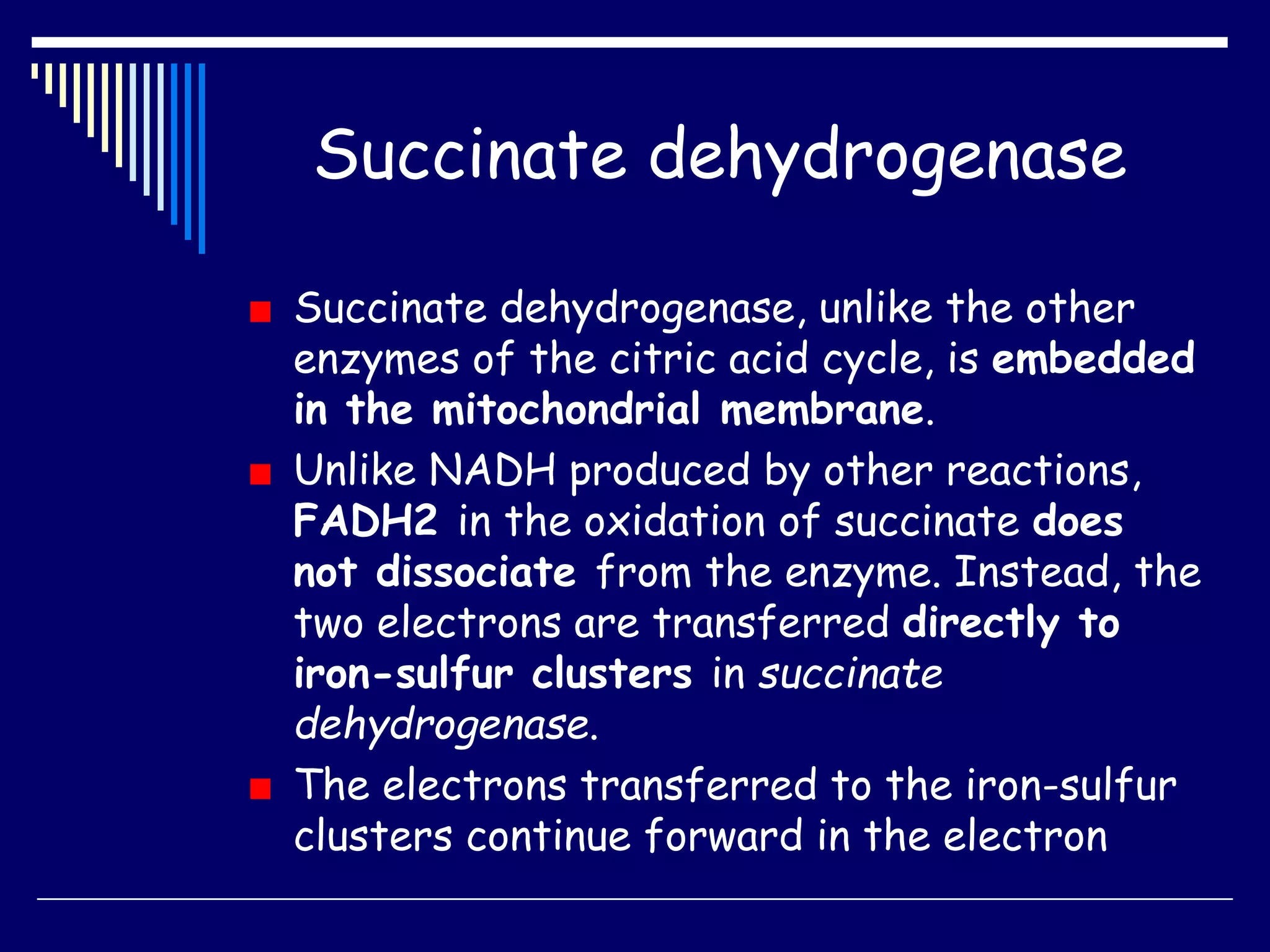 Pyruvate Dehydrogenase and Tricarboxylic Acid Cycle - PDH and TCA | PPT ...