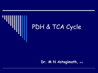 Pyruvate Dehydrogenase and Tricarboxylic Acid Cycle - PDH and TCA | PPT