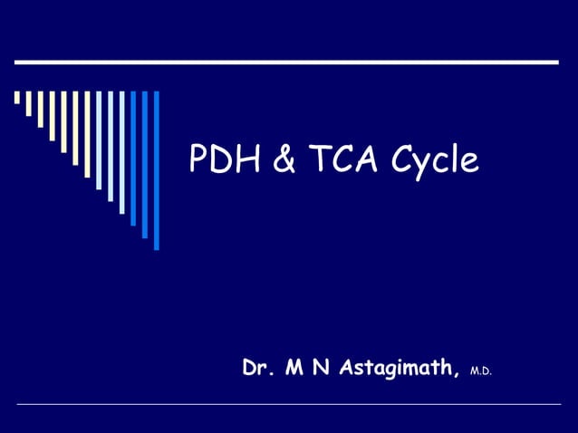 Pyruvate Dehydrogenase and Tricarboxylic Acid Cycle - PDH and TCA | PPT ...