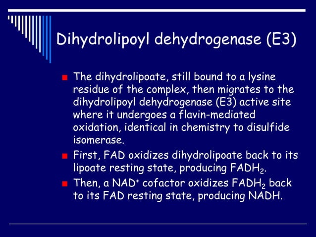 Pyruvate Dehydrogenase and Tricarboxylic Acid Cycle - PDH and TCA | PPT ...