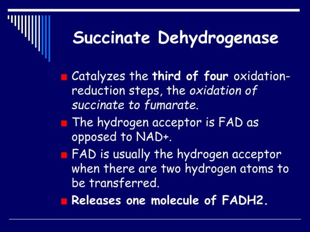 Pyruvate Dehydrogenase and Tricarboxylic Acid Cycle - PDH and TCA | PPT ...