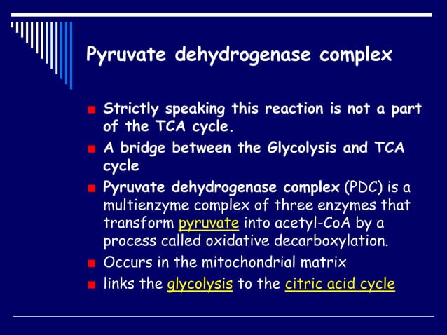 Pyruvate Dehydrogenase and Tricarboxylic Acid Cycle - PDH and TCA | PPT ...