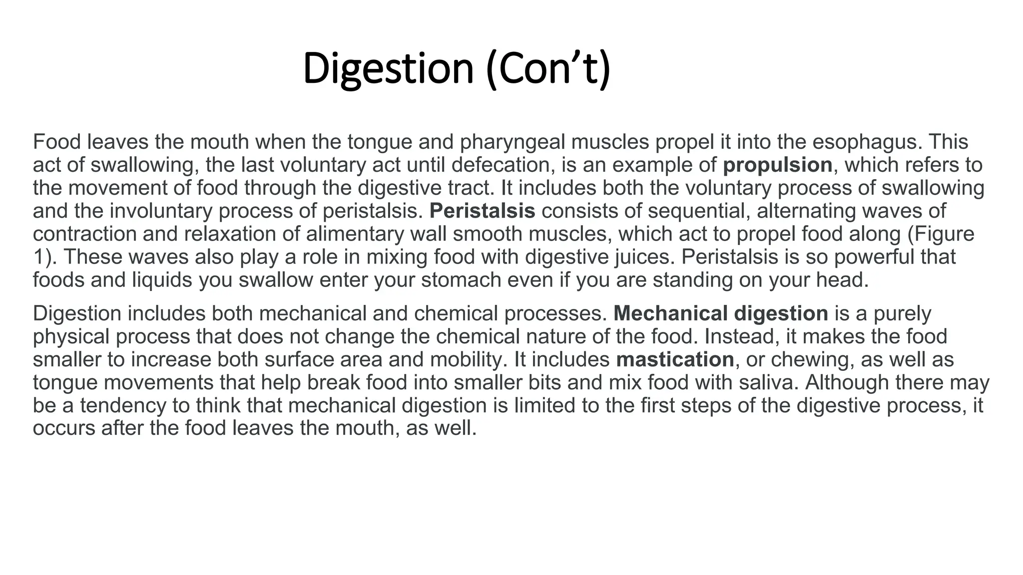 P Digestive Processes of Food.pptx7777777777777 | PPTX