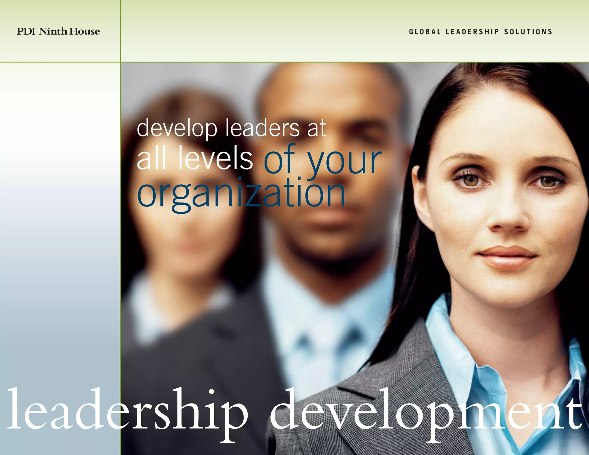 Pdinh Leadership Brochure | PDF