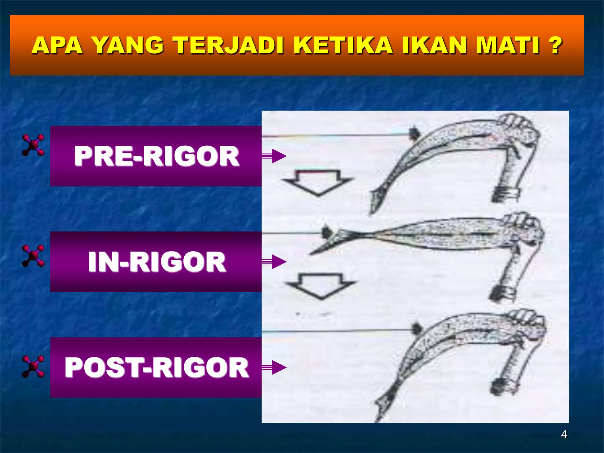 Pdk kemunduran-mutu-ikan-ppt | PPT
