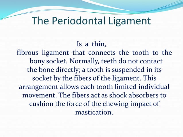 Periodontal Ligament | PPTX | Dental Health | Diseases and Conditions