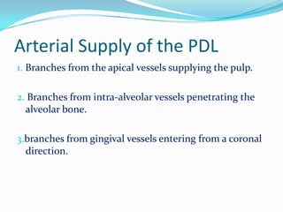 Periodontal Ligament | PPTX