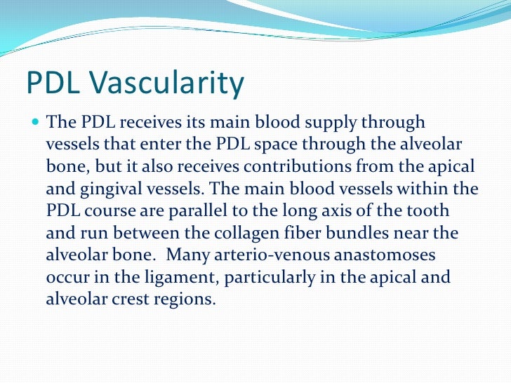 Periodontal Ligament