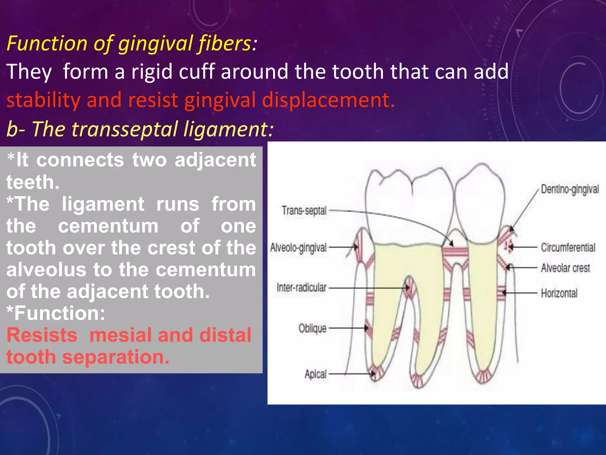 PERIODONTAL LIGAMENT | PPTX