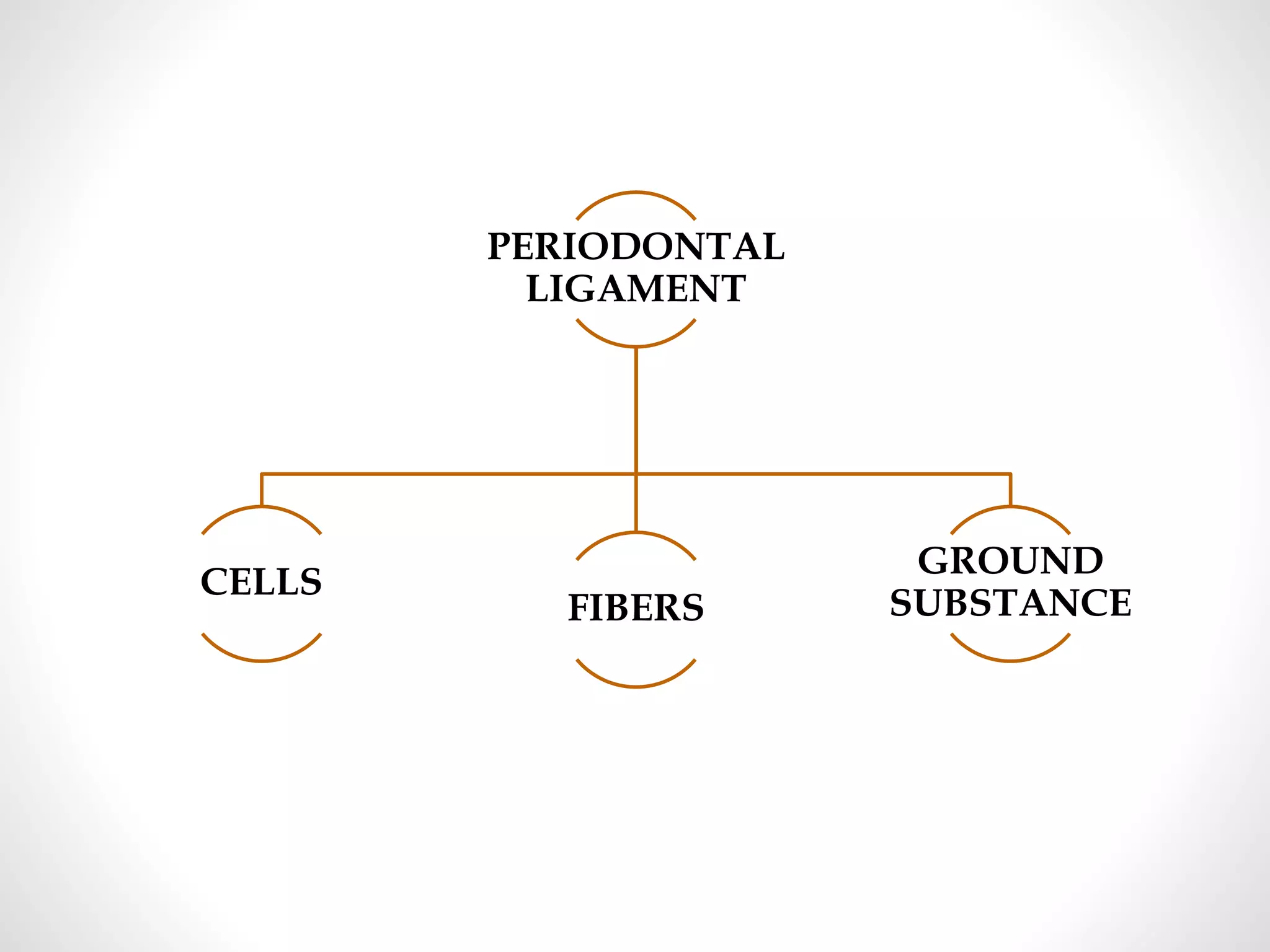 Periodontal ligament (PDL) | PPTX