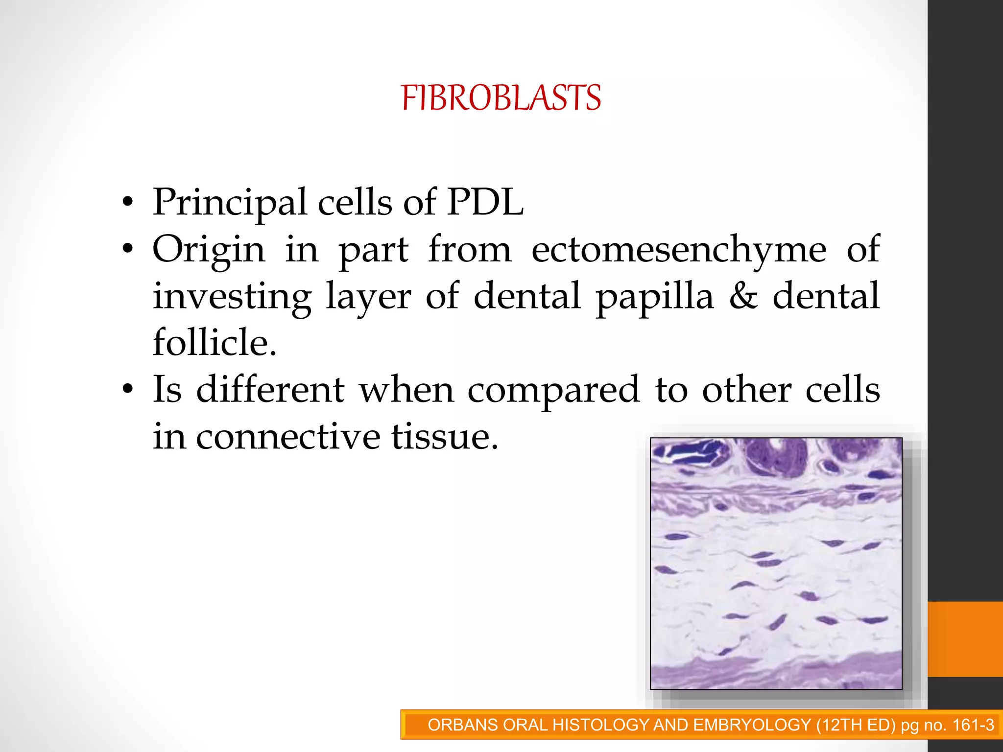 Periodontal ligament (PDL) | PPTX