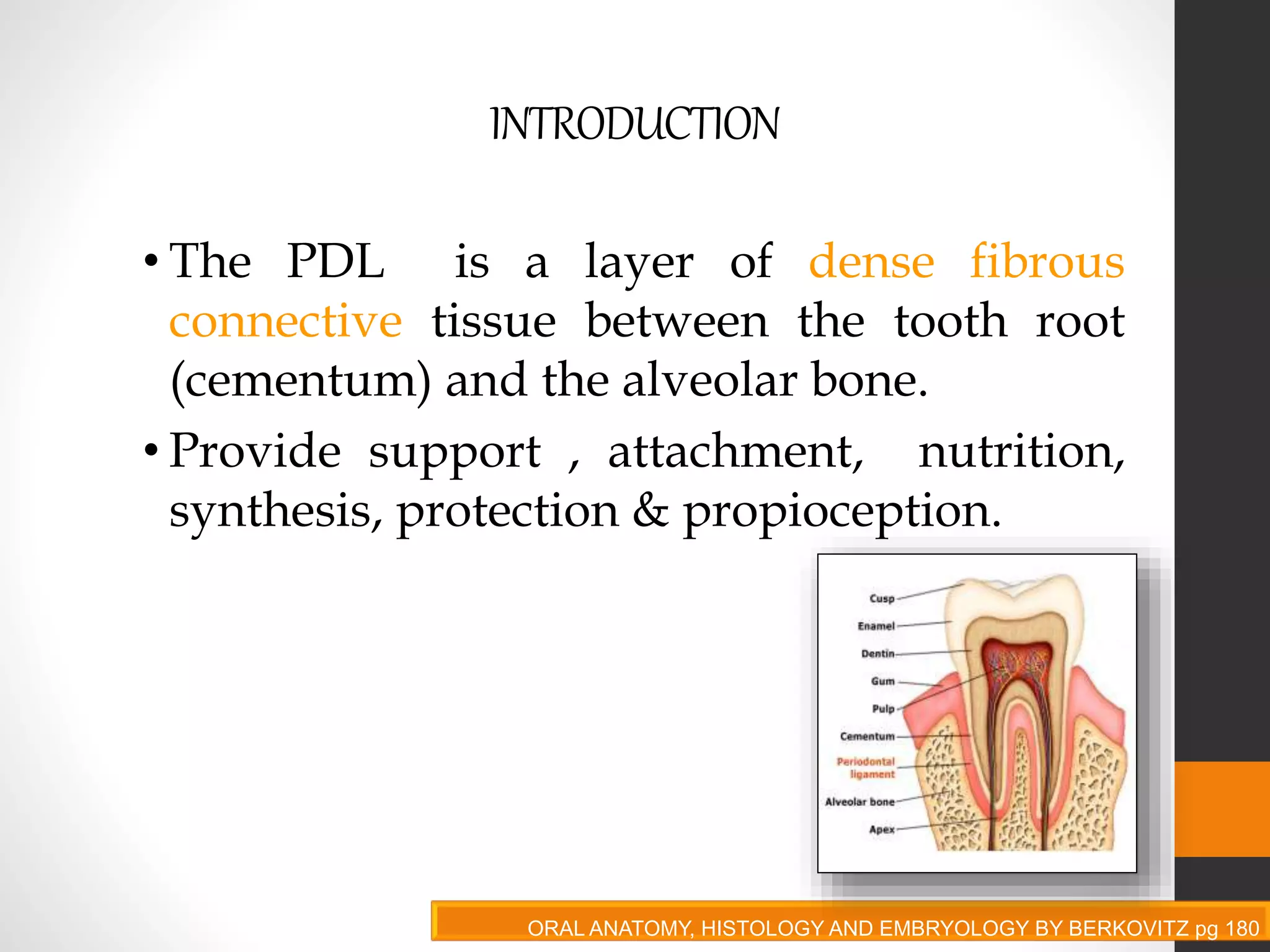 Periodontal ligament (PDL) | PPTX