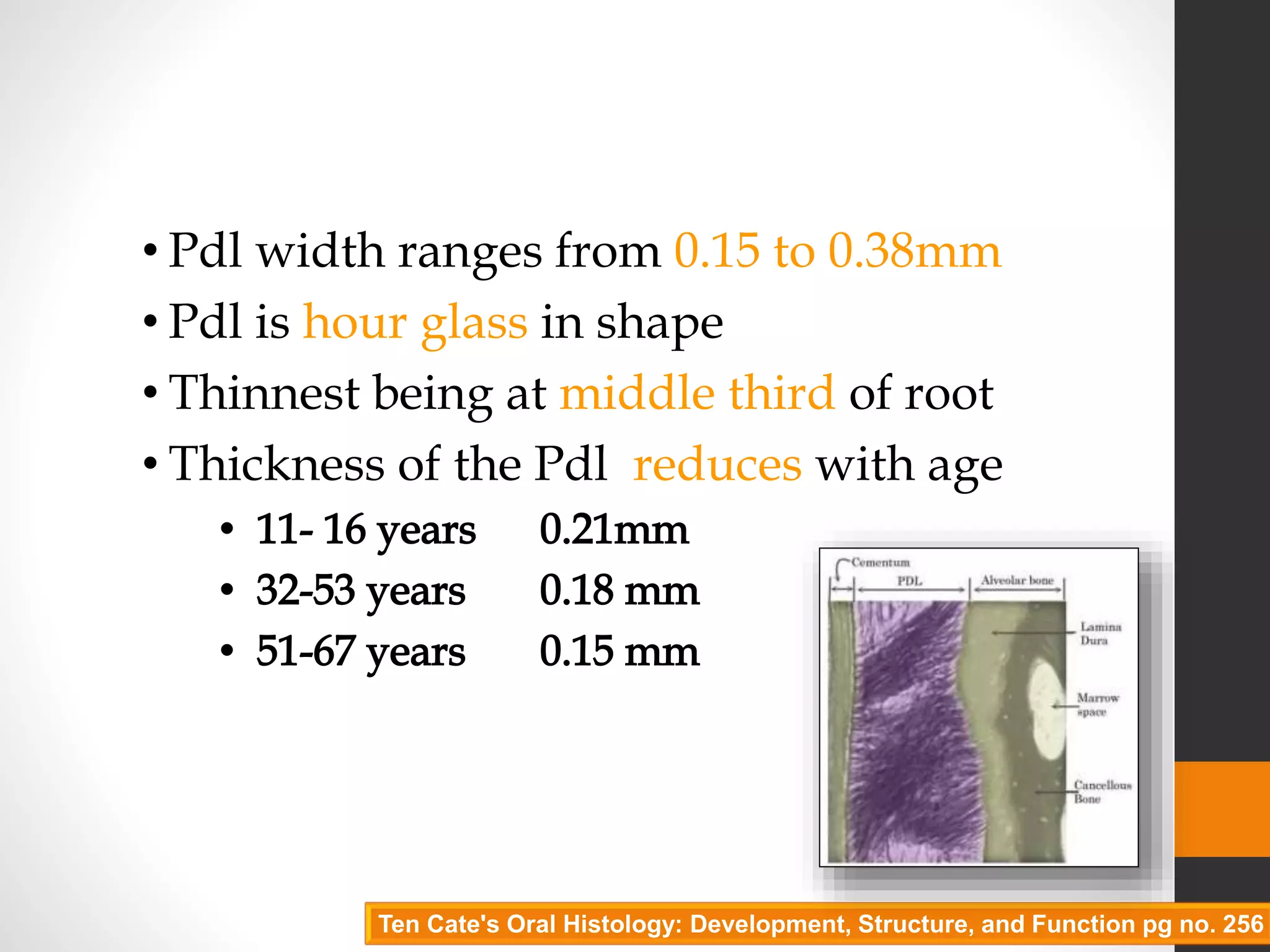 Periodontal ligament (PDL) | PPTX