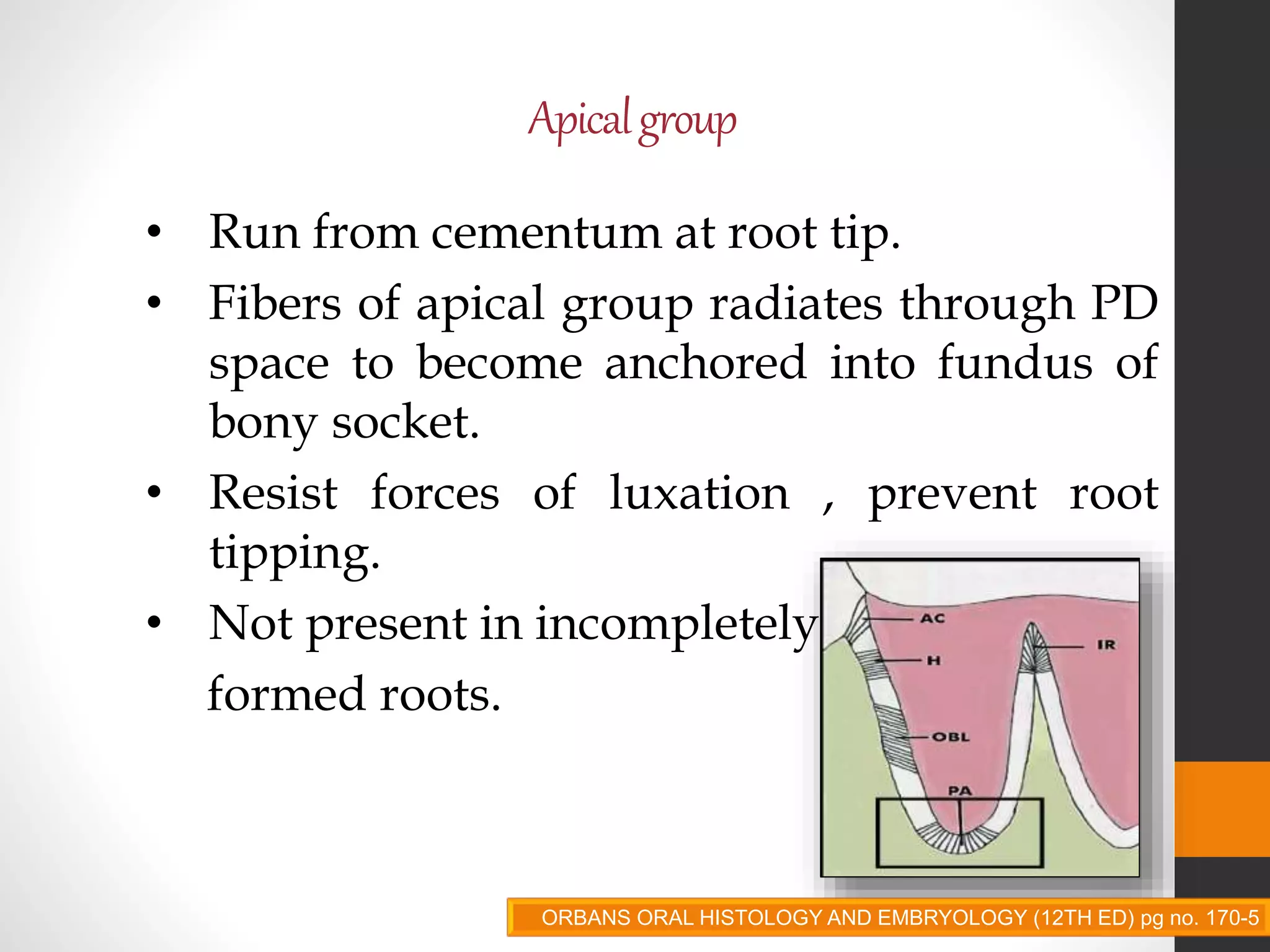Periodontal ligament (PDL) | PPTX