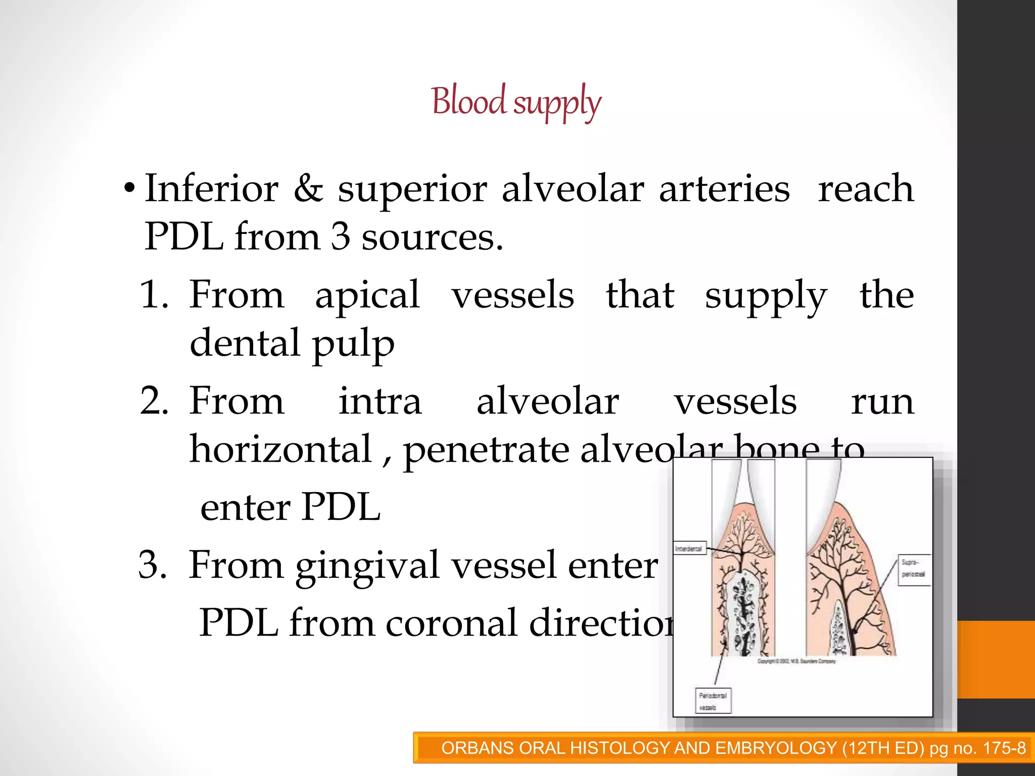 Periodontal ligament (PDL) | PPTX